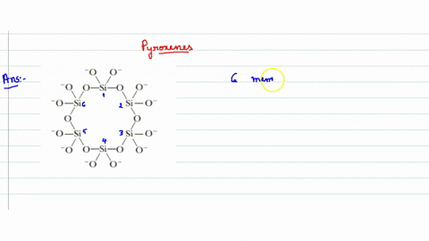 Descreva a estrutura dos piroxênios (veja a Fig. 22.8). Qual a razäo ...