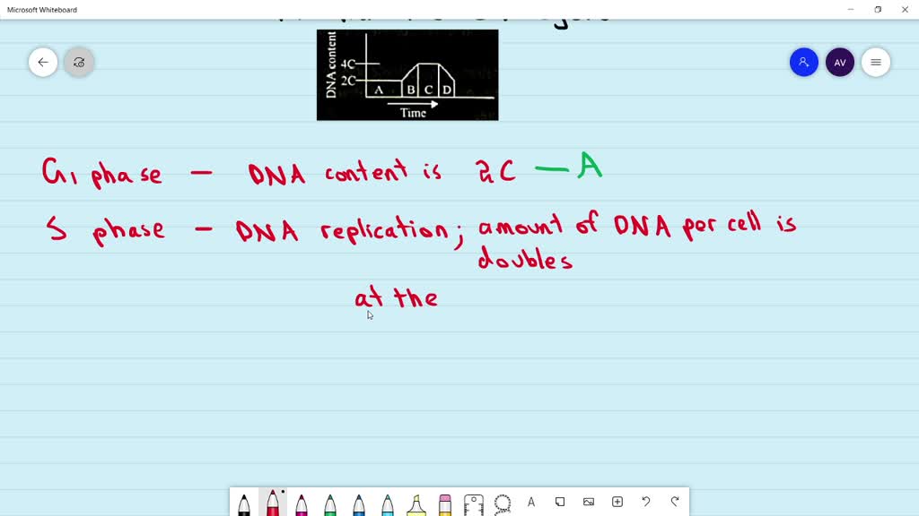 SOLVED:The graph given shows the change in DNA content during various ...