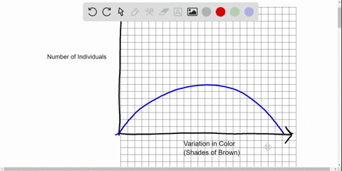 SOLVED:Make and Use Graphs Draw a graph that would illustrate a ...