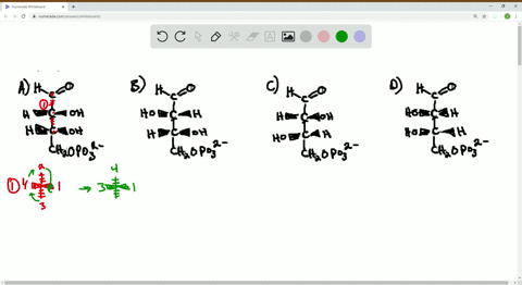 SOLVED:One of the following molecules (a)-(d) is D-erythrose 4 ...