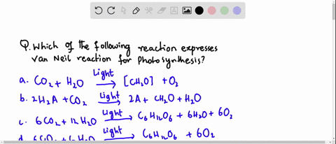 Chapter 13, Photosynthesis in Higher Plants Video Solutions, Objective ...