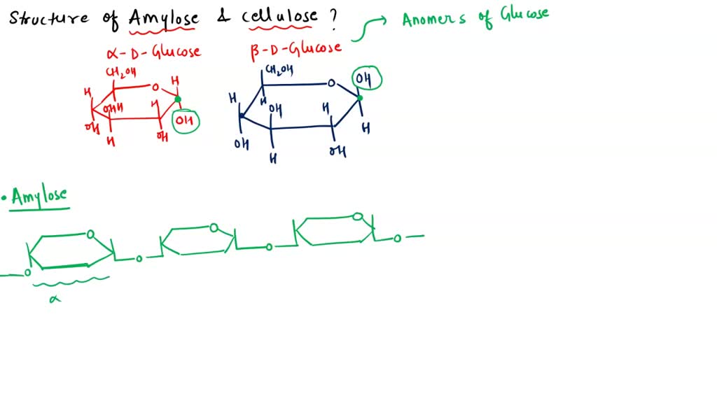 SOLVED:Amylose and cellulose both are liner polymers of glucose. The ...