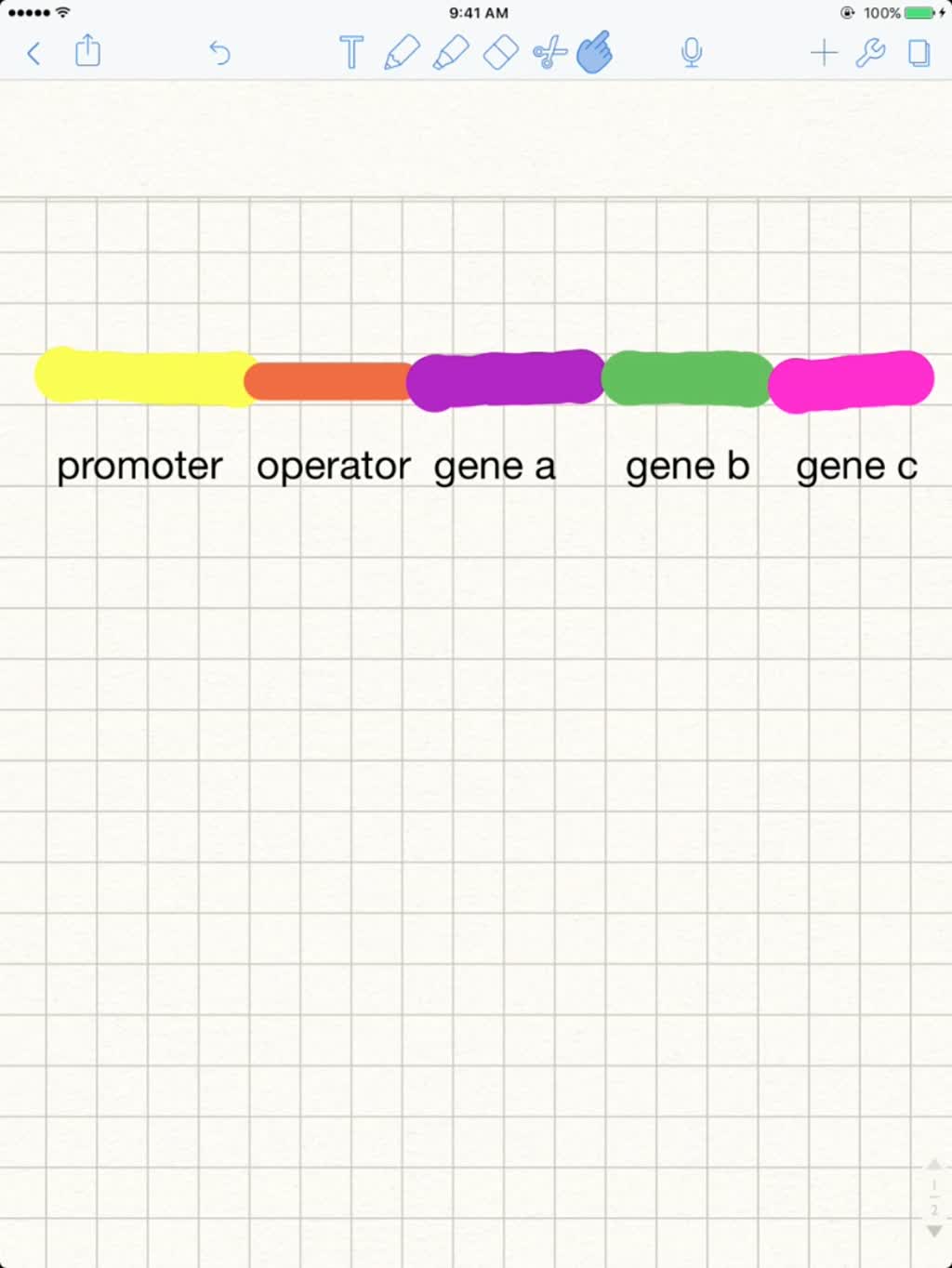 ⏩SOLVED:Draw a picture illustrating the general structure of an… | Numerade