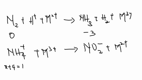 SOLVED:Nitrogen-Fixing Bacteria Bacteria found among the roots of ...