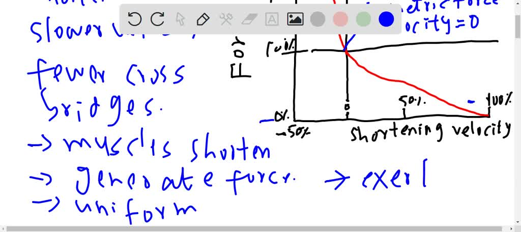 SOLVED: Draw a graph of the force shortening velocity relationship of ...