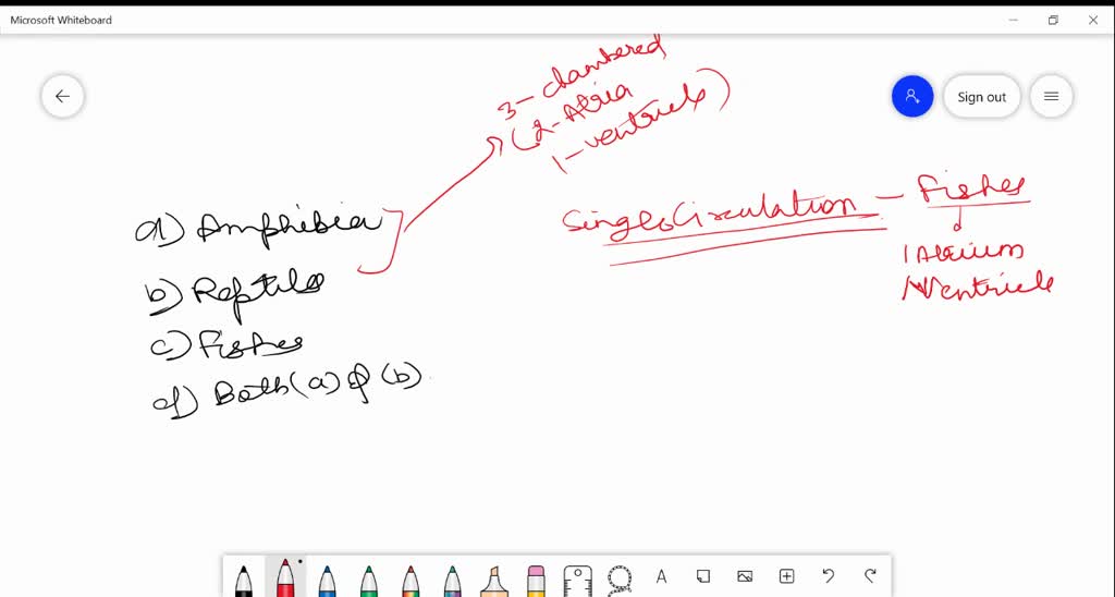 SOLVED:Incomplete double circulation is found in (a) Amphibia (b ...