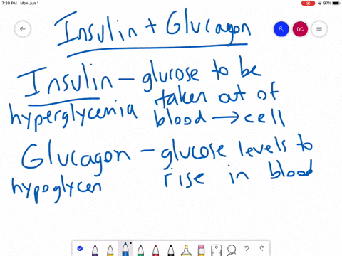 ⏩SOLVED:A patient presents with Whipple's triad, including plasma ...