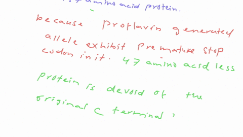 SOLVED:You identify a proflavin-generated allele of a gene that ...
