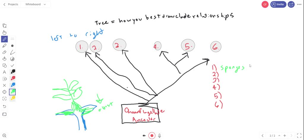 ⏩SOLVED:Label the branches of the diagram. | Numerade