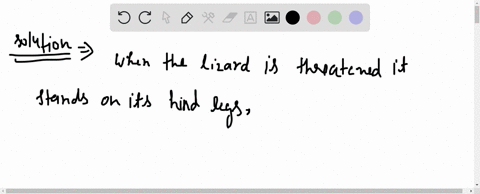 SOLVED:The frilled lizard of Australia suddenly opened its mouth wide ...