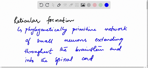 SOLVED:What is wayfinding? Describe the research of Hamid et al ...