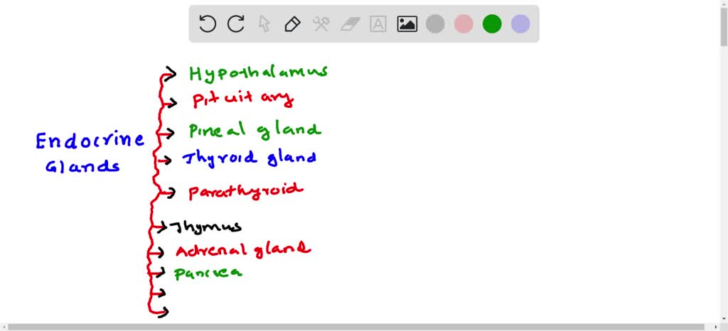 SOLVED:List five endocrine glands, and name one hormone secreted by ...