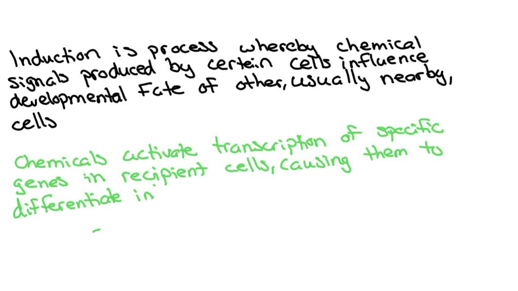 What is enumerative induction? How is it indicated schematically ...