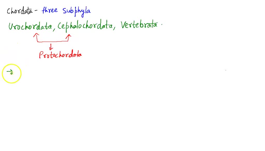 SOLVED: The below diagram shows symmetry, which is also found in the ...