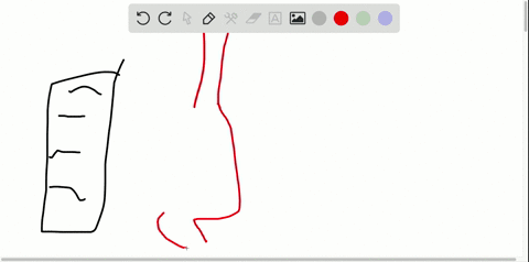 SOLVED:The nurse is observing the student nurse perform a respiratory ...