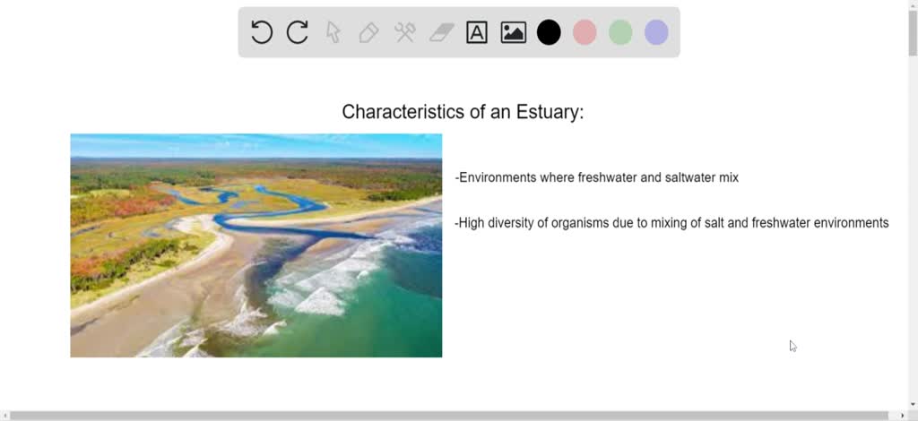 SOLVED:Describe the basic characteristics of inland marine floaters.