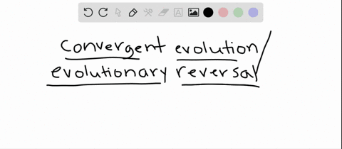 Evolutionary Reversal