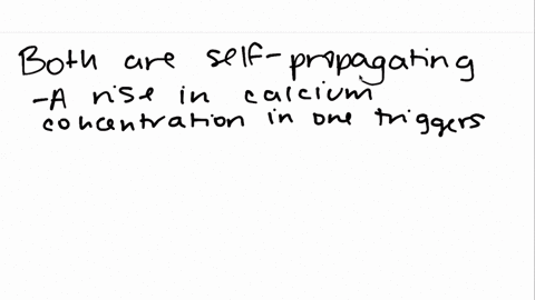 SOLVED:In what way is the calcium wave that occurs at fertilization sim ...