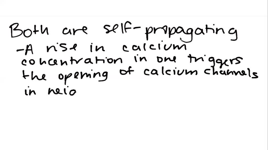 SOLVED:In what way is the calcium wave that occurs at fertilization sim ...