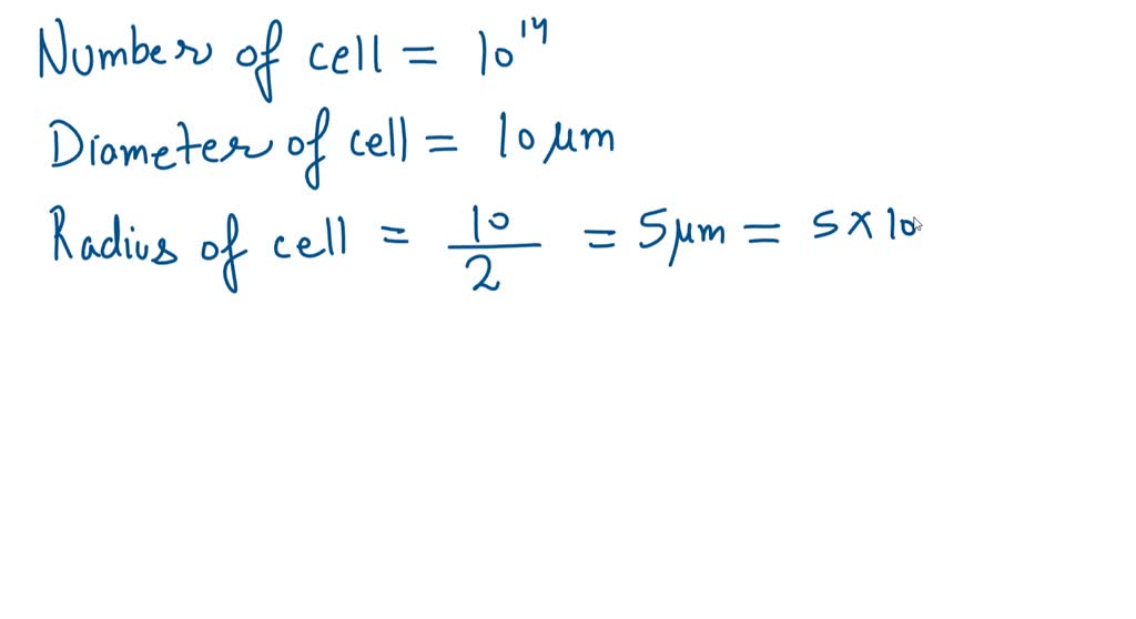 SOLVED:The volume of a cell is about a. 10^-10 m^3. b. 10^-15 m^3. c ...