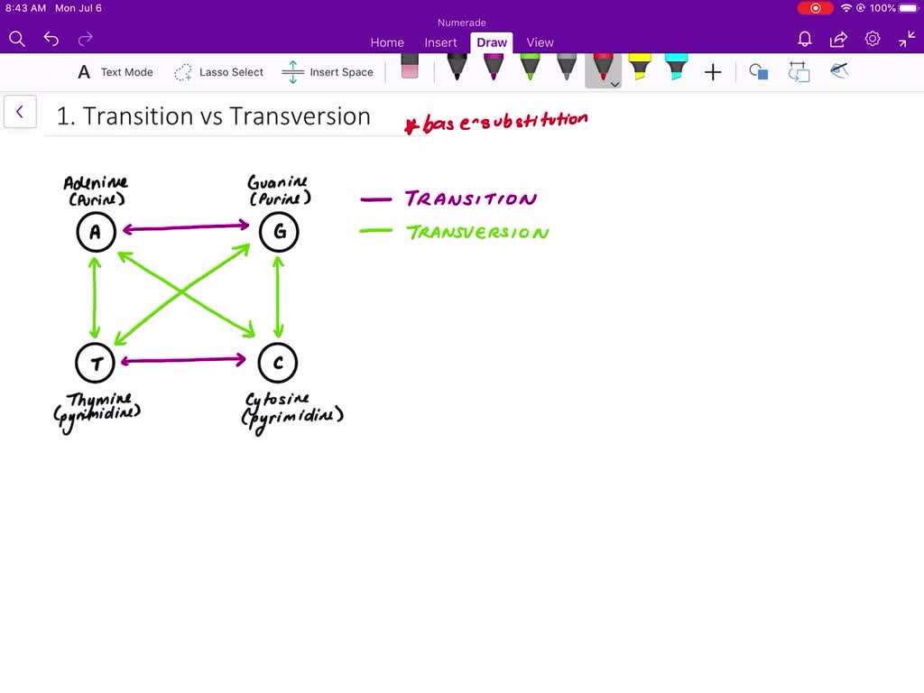 SOLVED:What is the difference between a transitio…