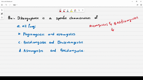 SOLVED:Dikaryophase is a specific characteristic of (a) all Fungi (b ...