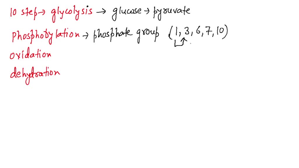 SOLVED:If only step 2 is performed, which of the structures in Figure 1 ...