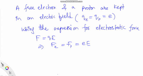 SOLVED:If you place a free electron and a free proton in the same ...