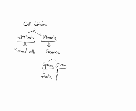 ⏩SOLVED:Assertion (A): Meiosis is also known as reduction division.… | Numerade