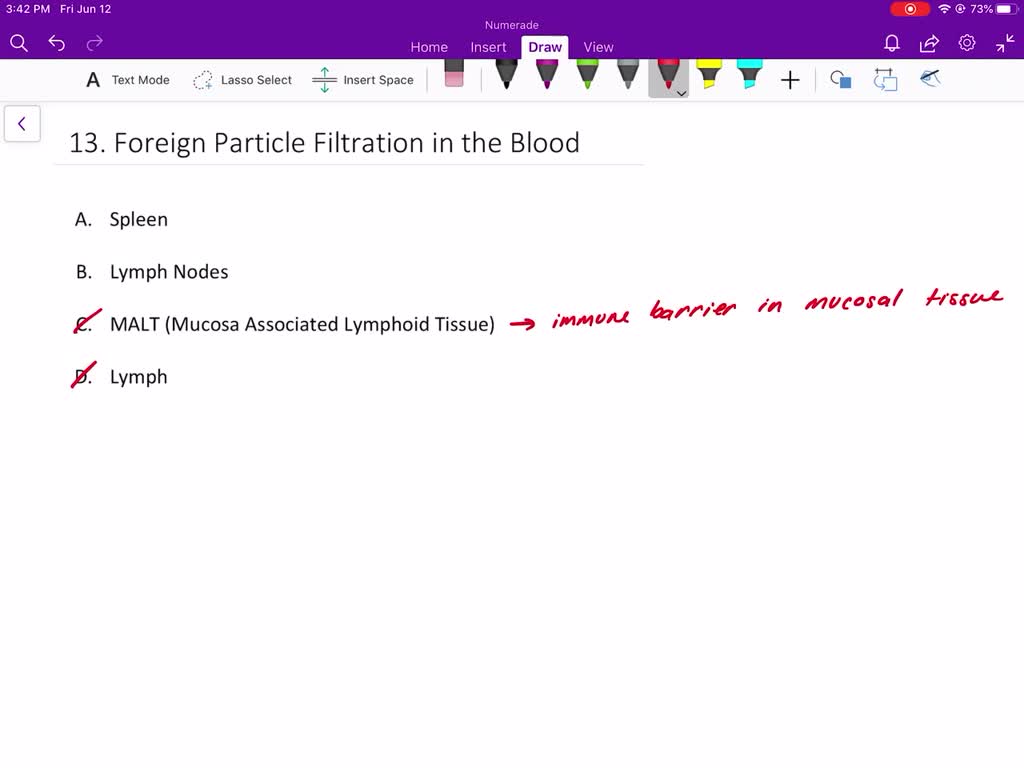 SOLVED:Foreign particles circulating in the blood are filtered by the ...