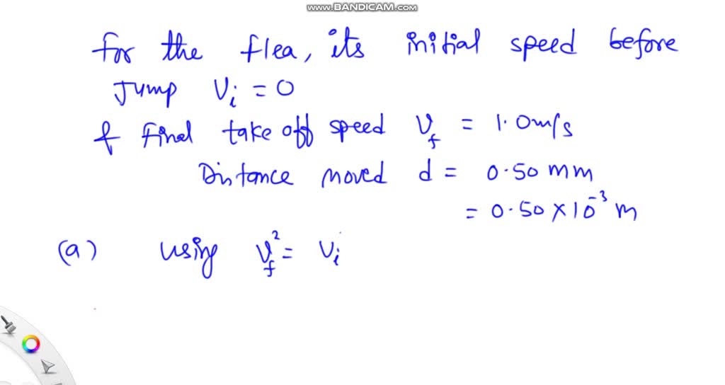 ⏩SOLVED:When jumping, a flea rapidly extends its legs, reaching a ...