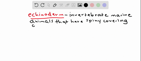 SOLVED:Which of the following structures is not a component of the ...