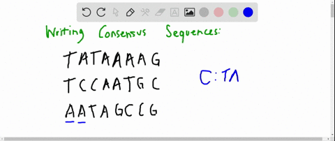 ⏩SOLVED:Provide the consensus sequence for the first three actual… | Numerade