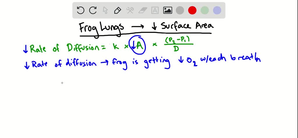 SOLVED:Frog lungs have lower surface area for gas exchange than ...