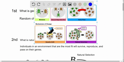 SOLVED:Short Answer Compare and contrast genetic drift and natural ...