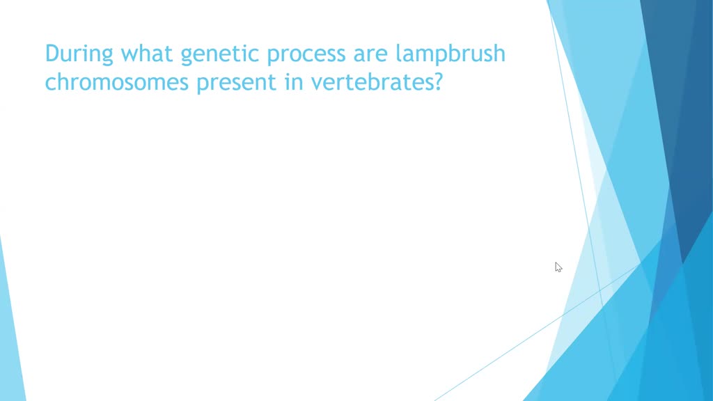 SOLVED:Describe the structure of lampbrush chromosomes. Where are they ...