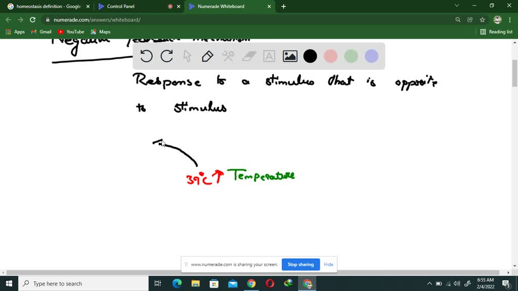SOLVED:What is homeostasis? What is a negative feedback loop? Give an ...