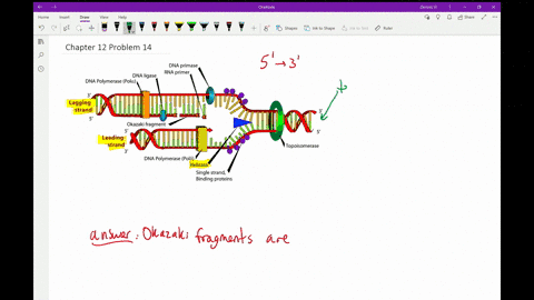 Chapter 12, Molecular Genetics Video Solutions, Glencoe Biology | Numerade