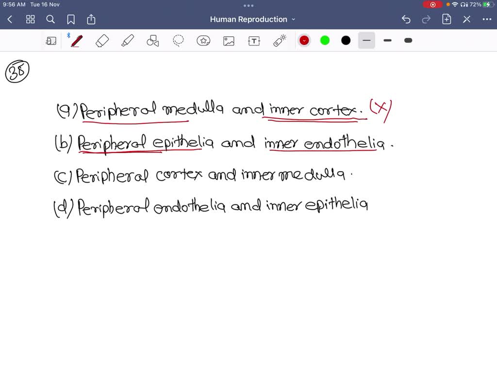 SOLVED:The ovarian stroma is divided into zones (a) Peripheral medulla ...