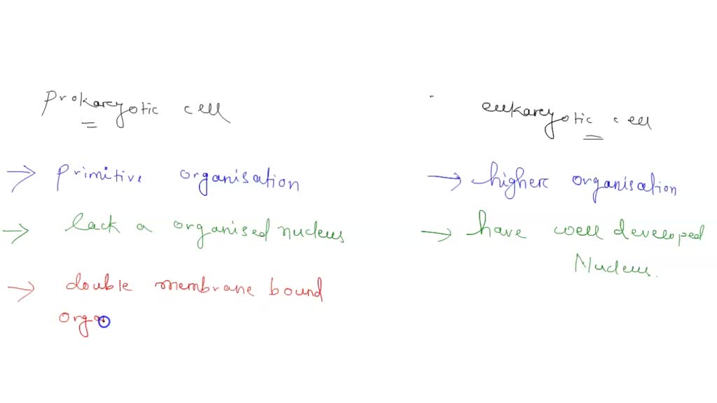 Compare the organization, degree of compartmentalization, and size of ...