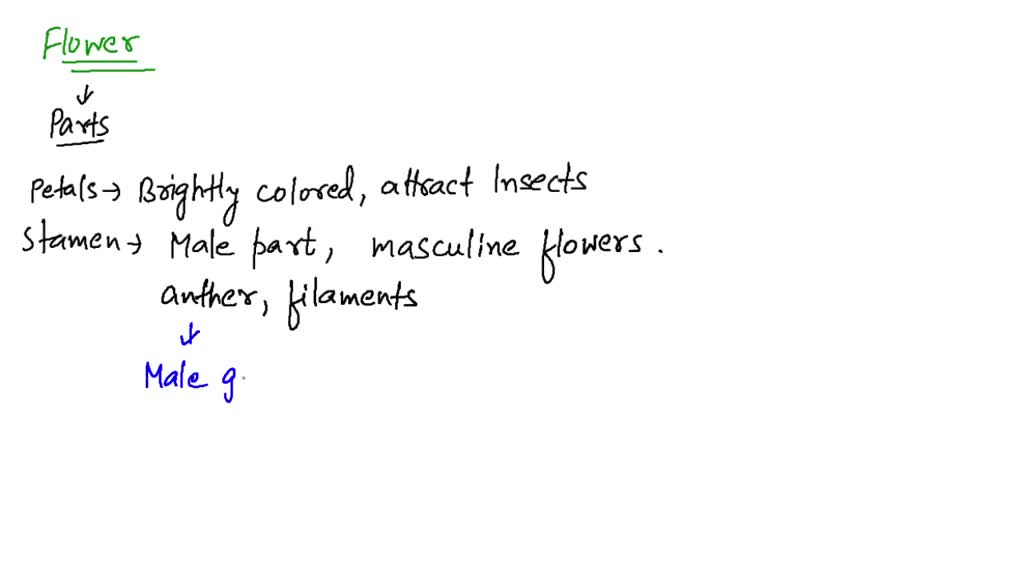 ⏩SOLVED:Give some examples of how form fits function in flower… | Numerade