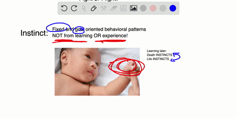 SOLVED:Define instinct and homeostasis.