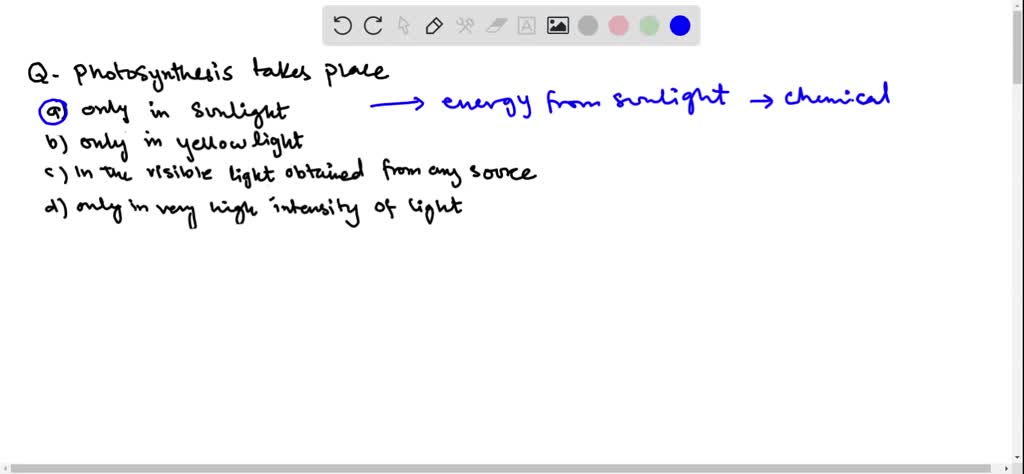 SOLVED:Photosynthesis takes place (a) Only in sunlight (b) Only in ...