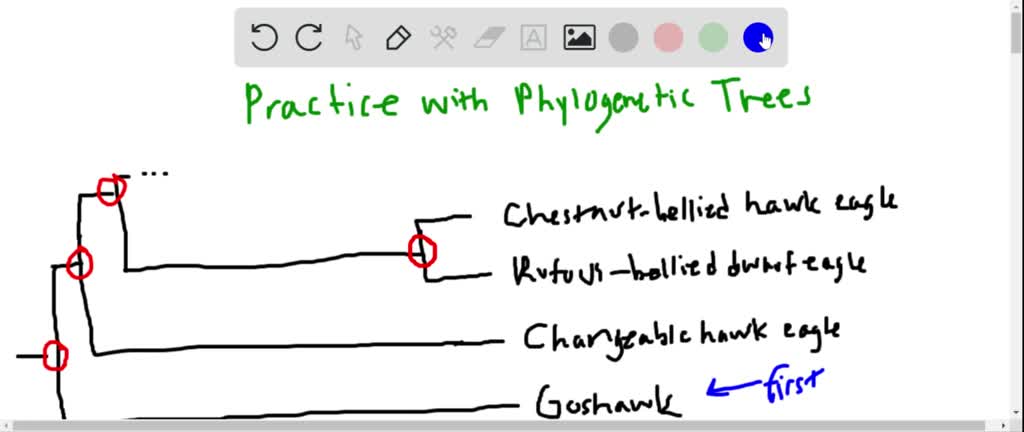 SOLVED:Michael Bunce and his colleagues in England, Canada, and the ...