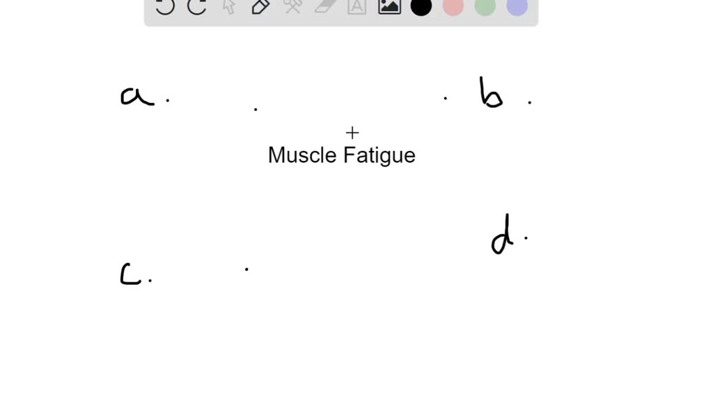 A sprinter would experience muscle fatigue sooner than a marathon ...