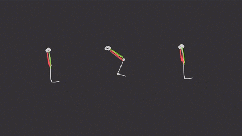 SOLVED:Skeletal muscles can only produce a mechanical force as they are ...