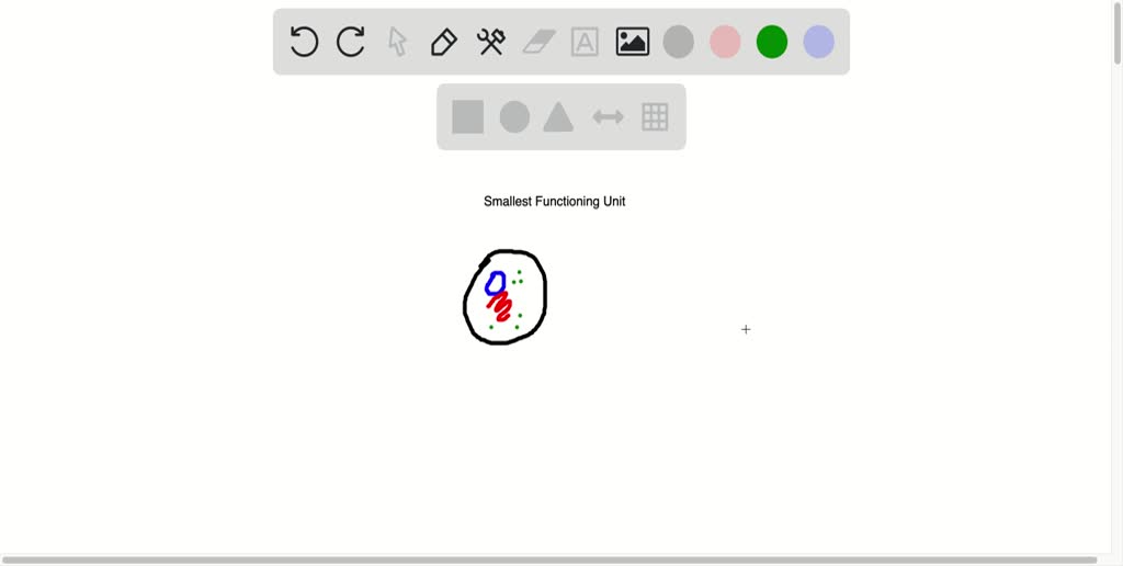 SOLVED:The smallest independently functioning unit of an organism is a ...