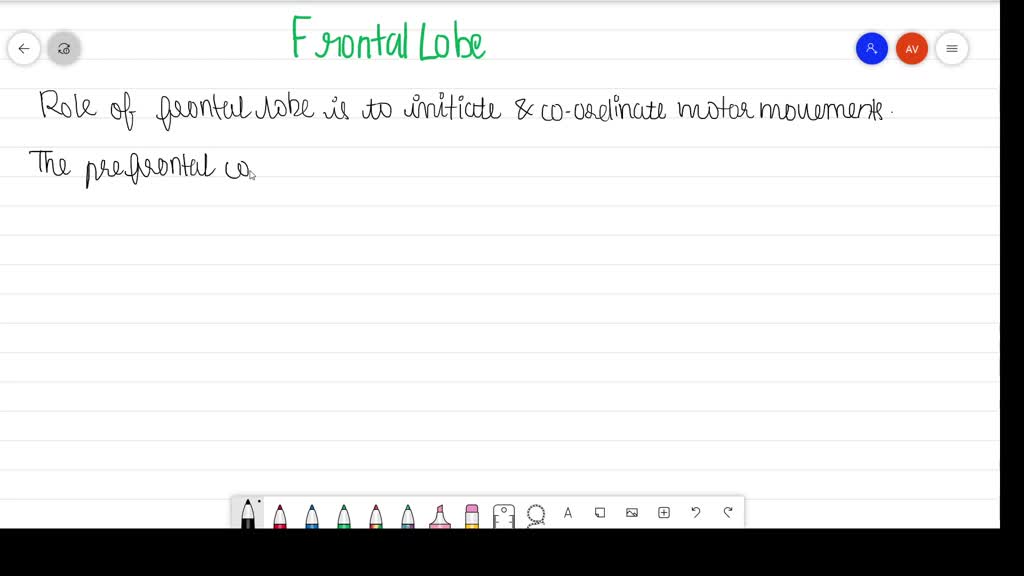 SOLVED:A striking consequence of posterior parietal cortex damage is a ...