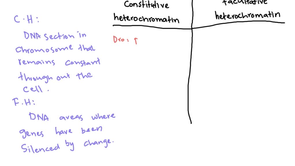 ⏩SOLVED:Give examples of constitutive and facultative… | Numerade