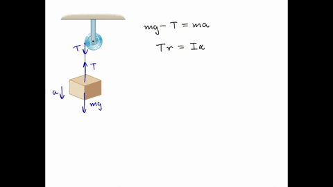 Chapter 9, Rotational Dynamics Video Solutions, Physics | Numerade
